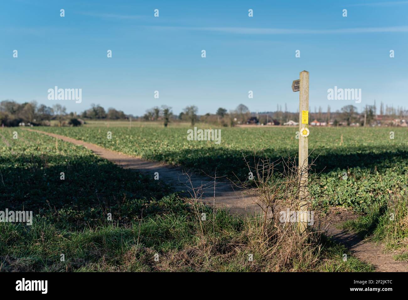 Path across field with footpath sign, blue sky February 2021 Stock ...