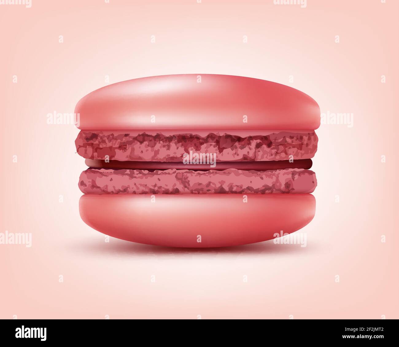 Vector pink french macaron or macaroon close up front view isolated on ...