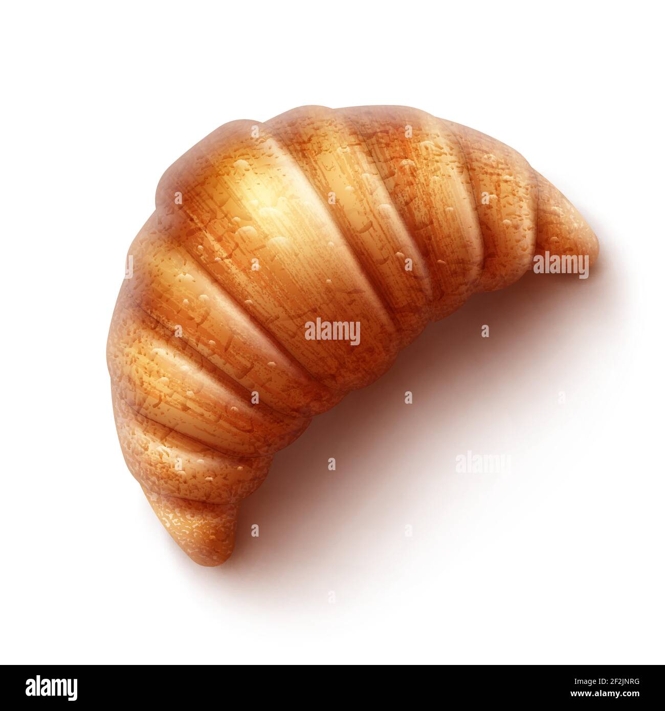 Vector fresh crispy french croissant top view isolated on white ...