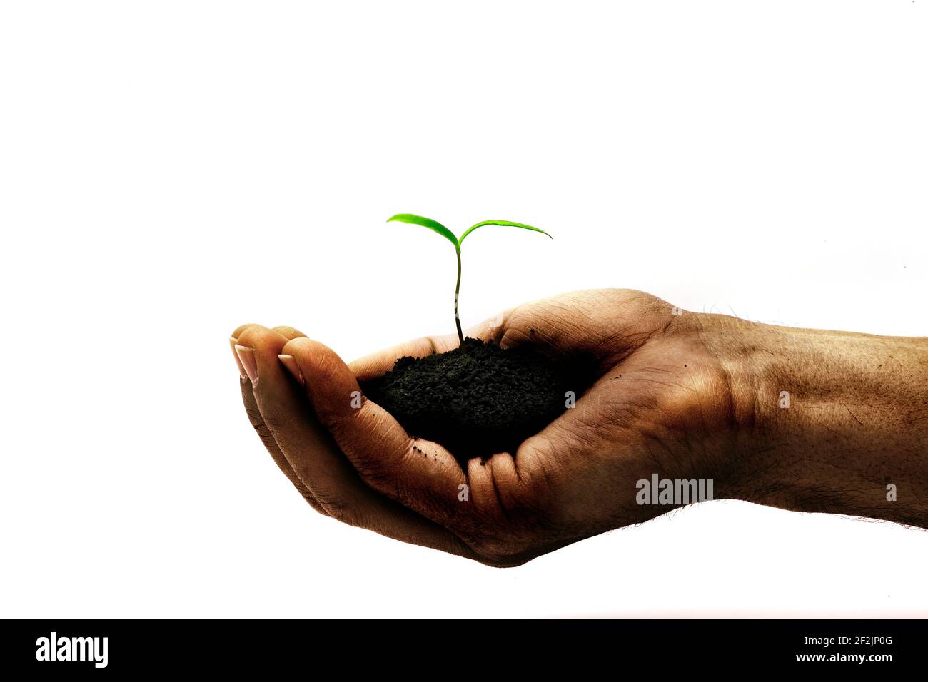 Soil hand white background hi-res stock photography and images - Alamy