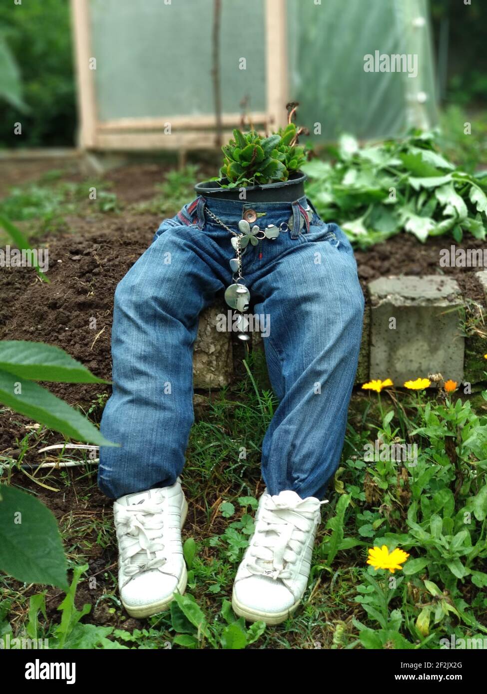 Gardening pants hi-res stock photography and images - Alamy