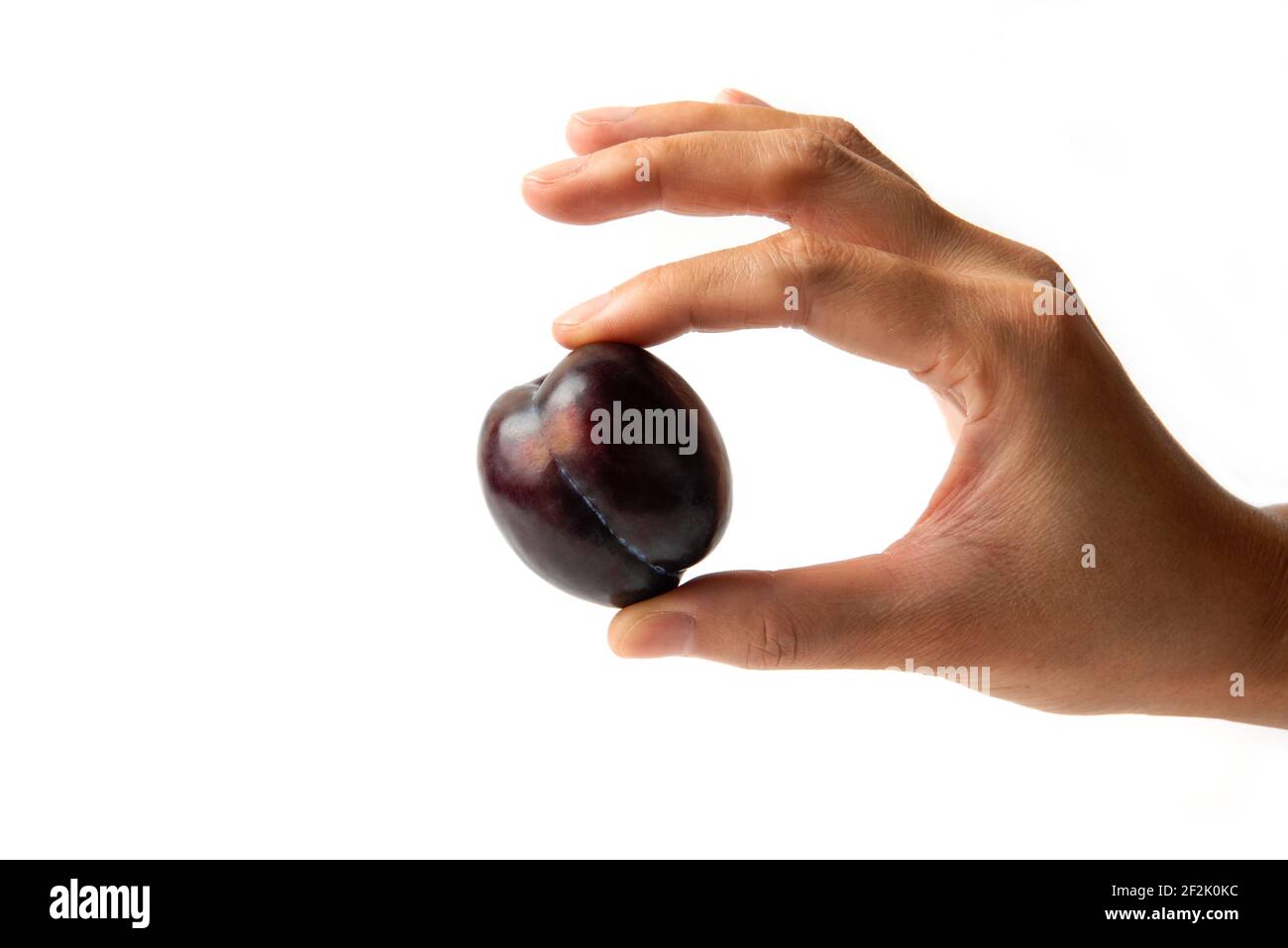 Black cherry plum in the hand taken from stem Stock Photo - Alamy