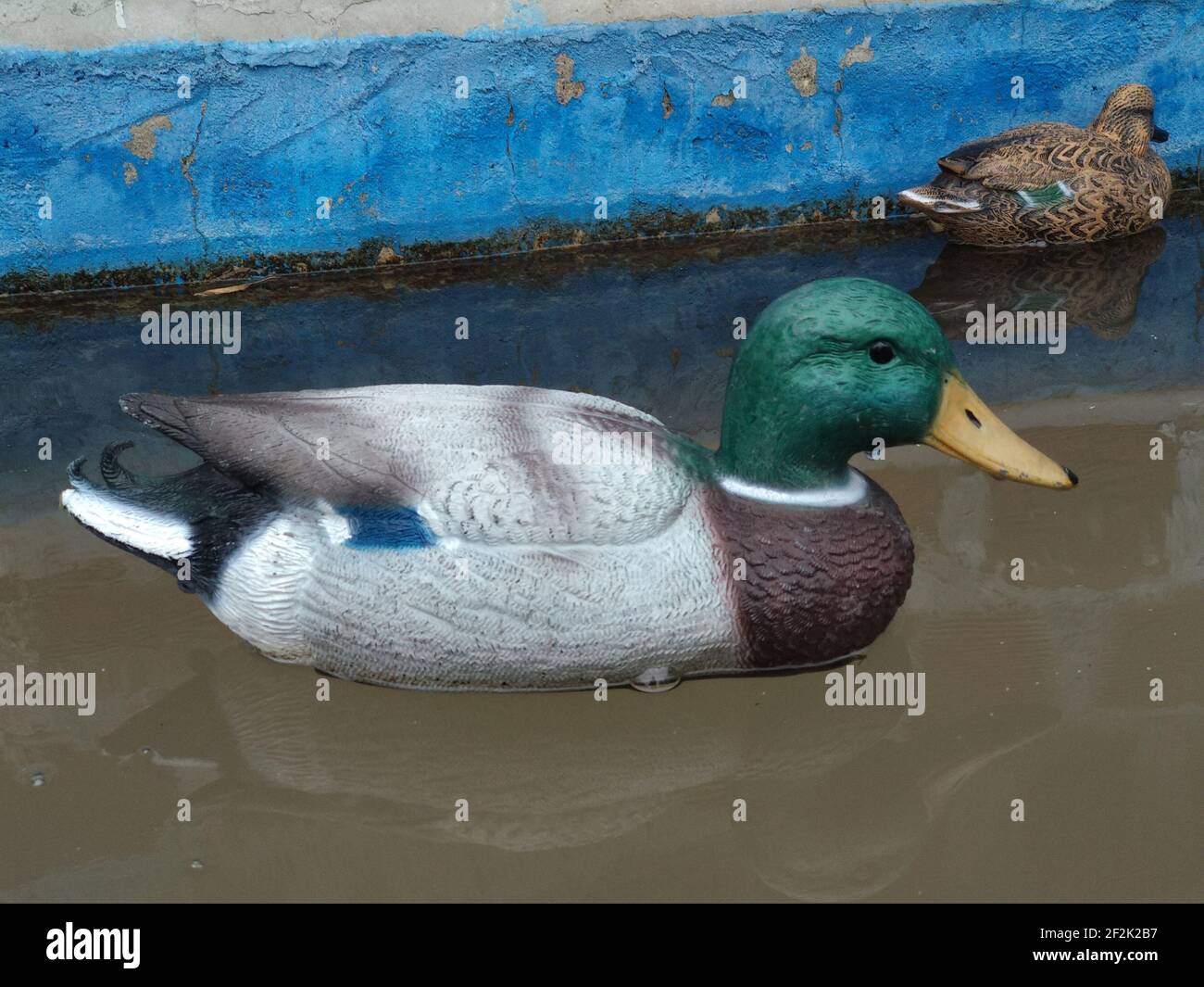 Toys in sand river hi-res stock photography and images - Alamy