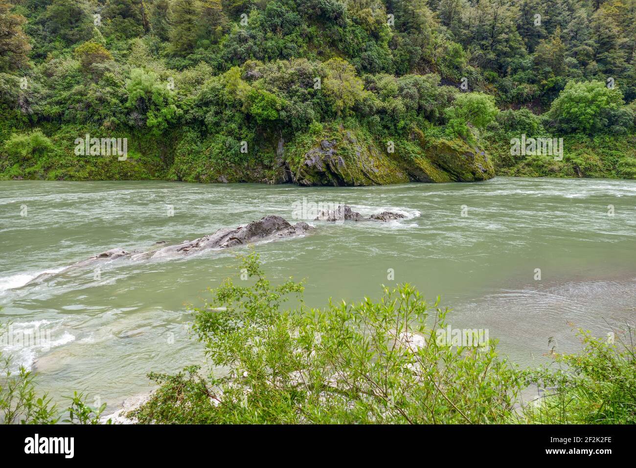 Scenery around the Buller River in the South Island of New Zealand ...