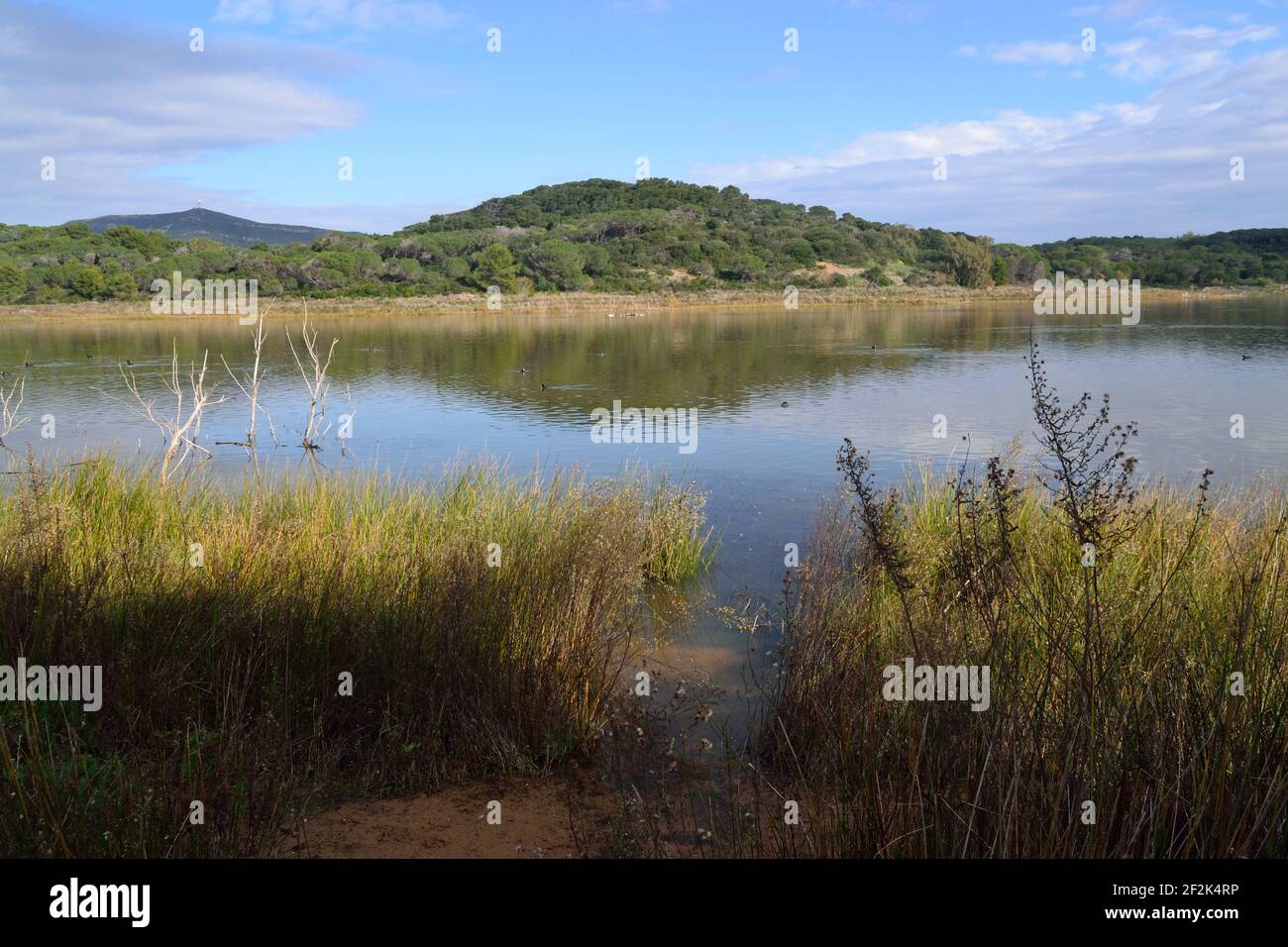 Baratz hi-res stock photography and images - Alamy