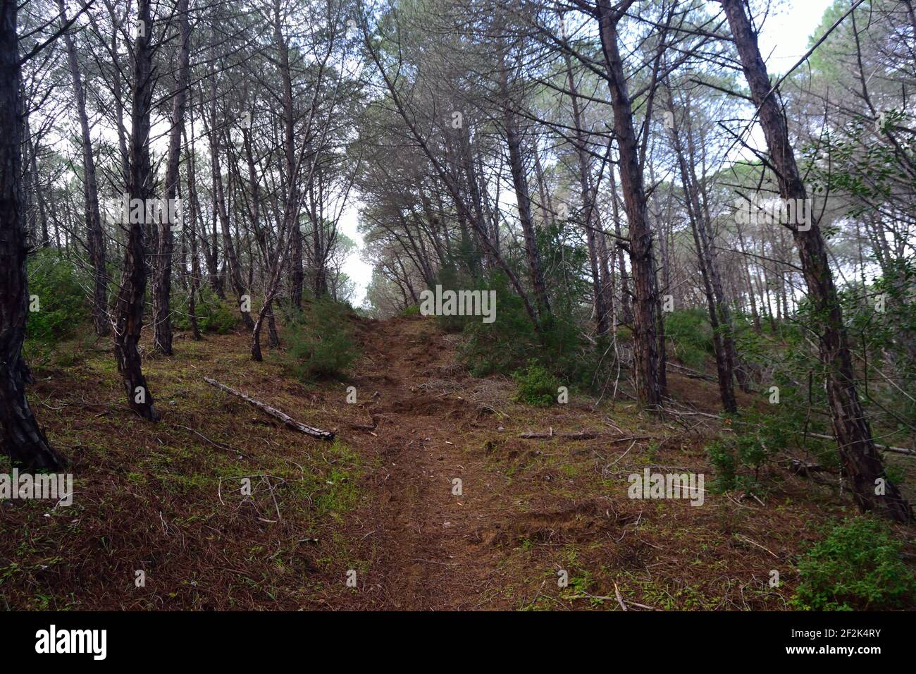 Baratz hi-res stock photography and images - Alamy