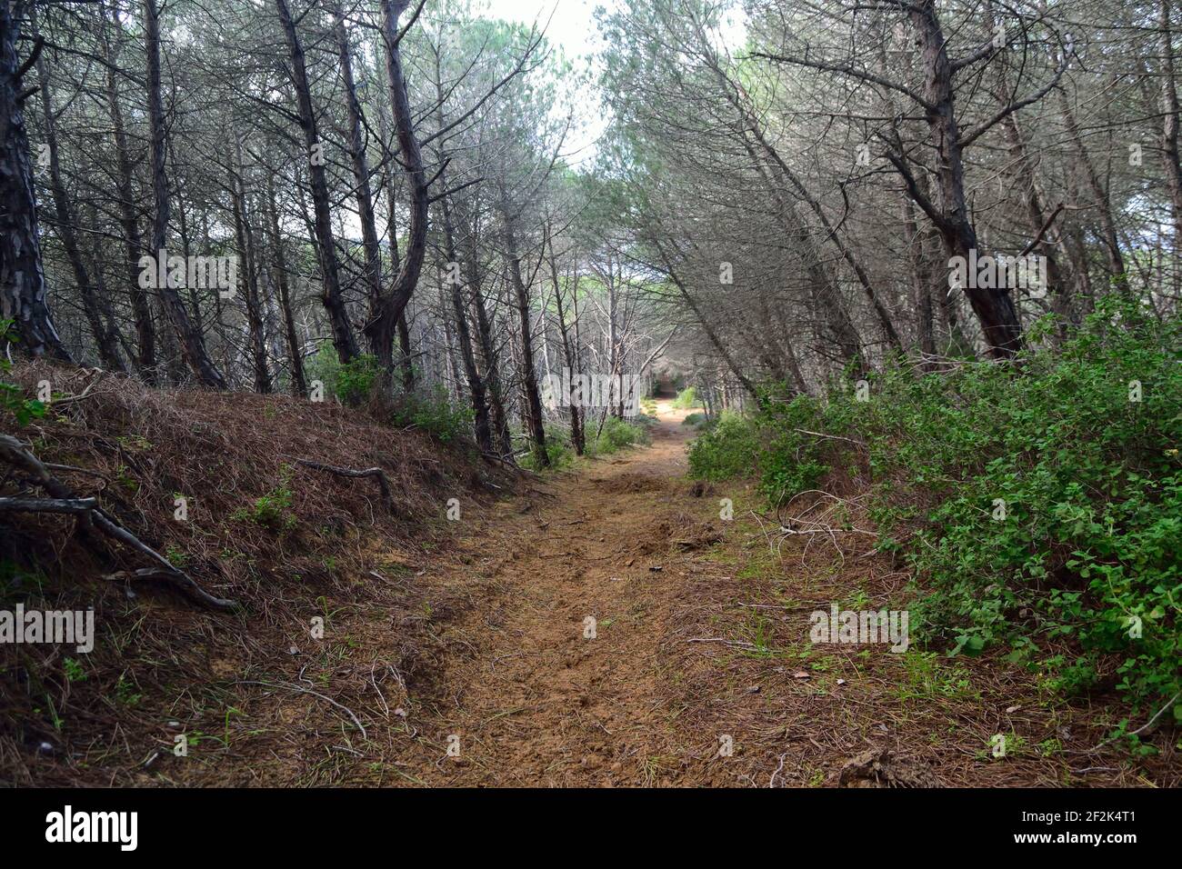 Baratz hi-res stock photography and images - Alamy