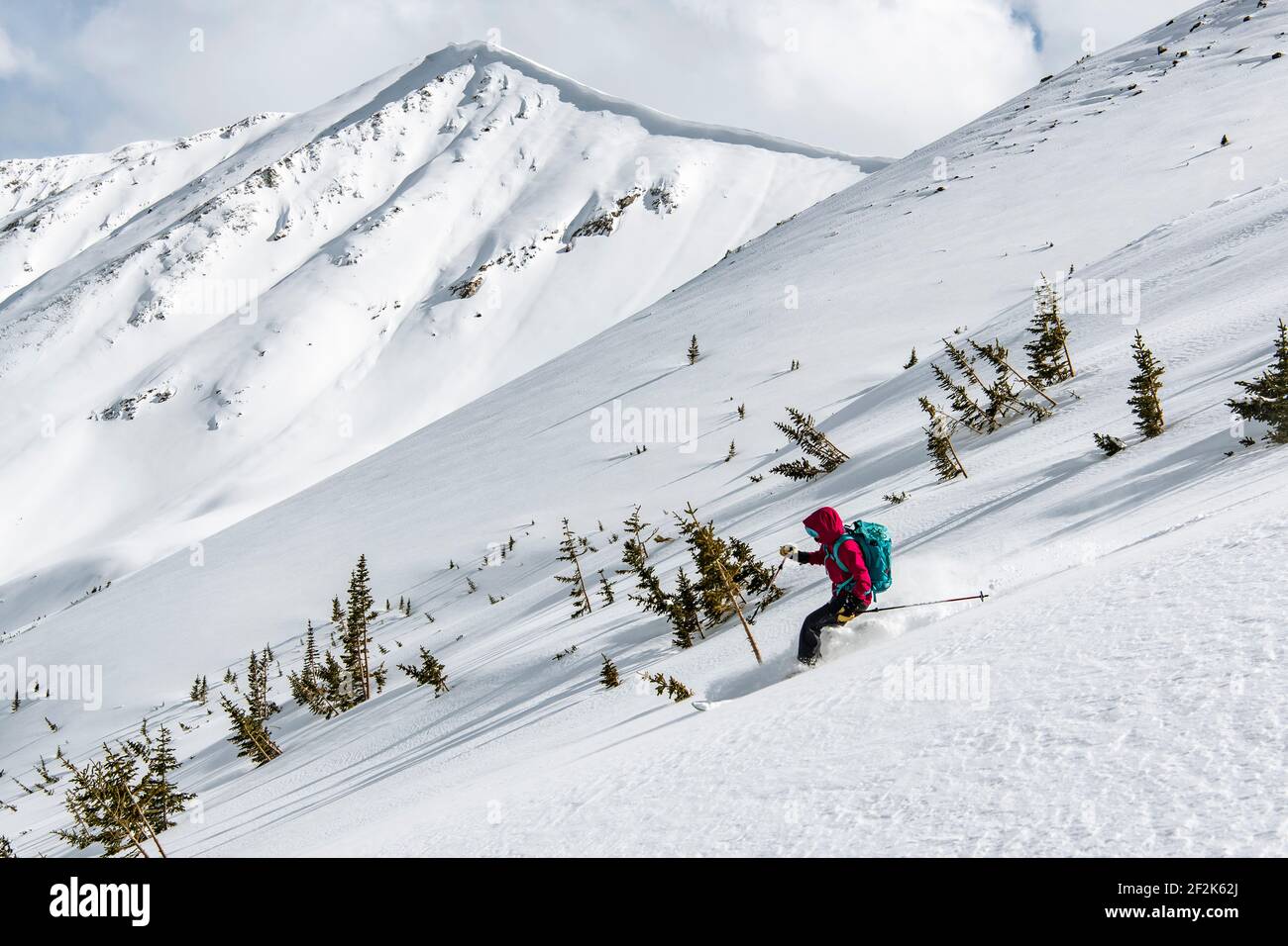 Skinning aspen hi-res stock photography and images - Alamy