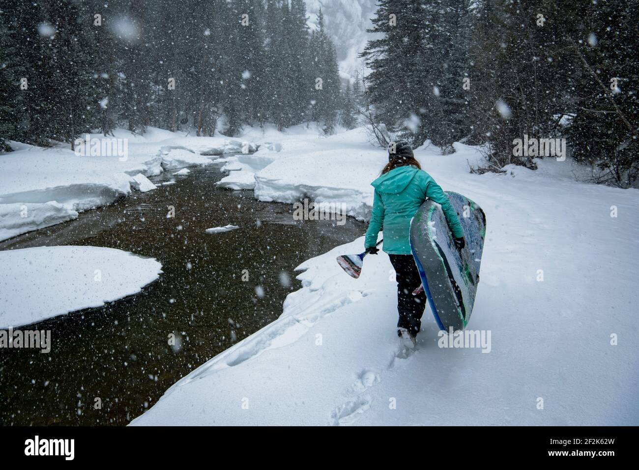 Woman Carrying Paddleboard High Resolution Stock Photography and Images ...