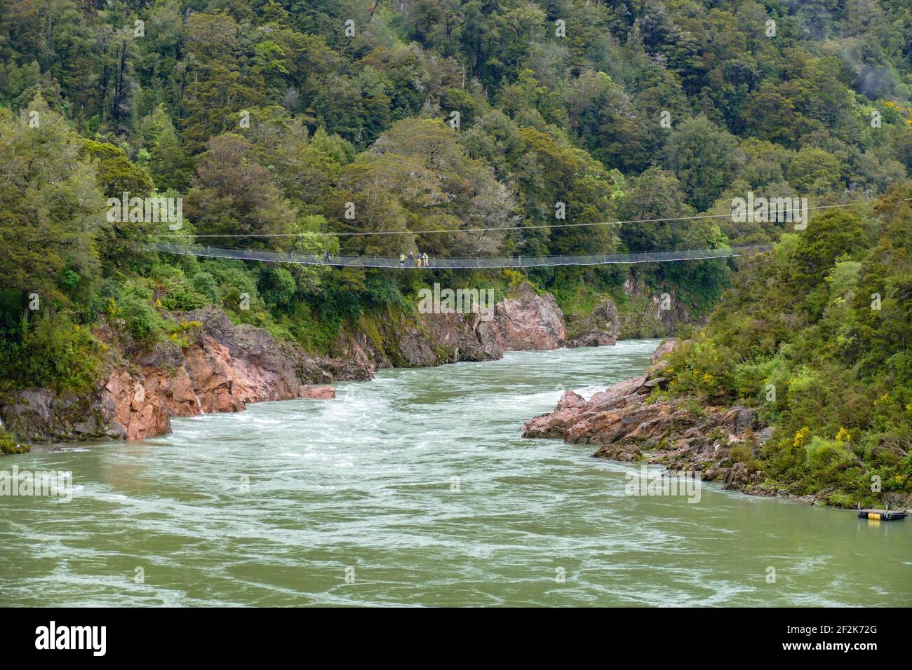 Scenery around the Buller River in the South Island of New Zealand ...