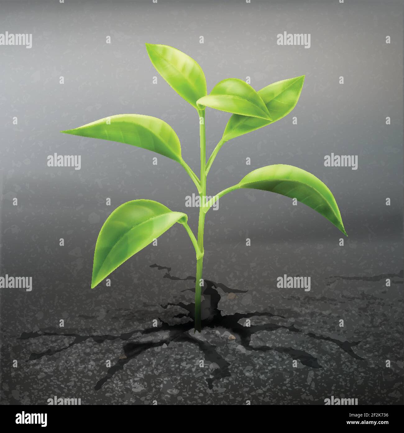Vector plant sprout through asphalt close up front view Stock Vector ...
