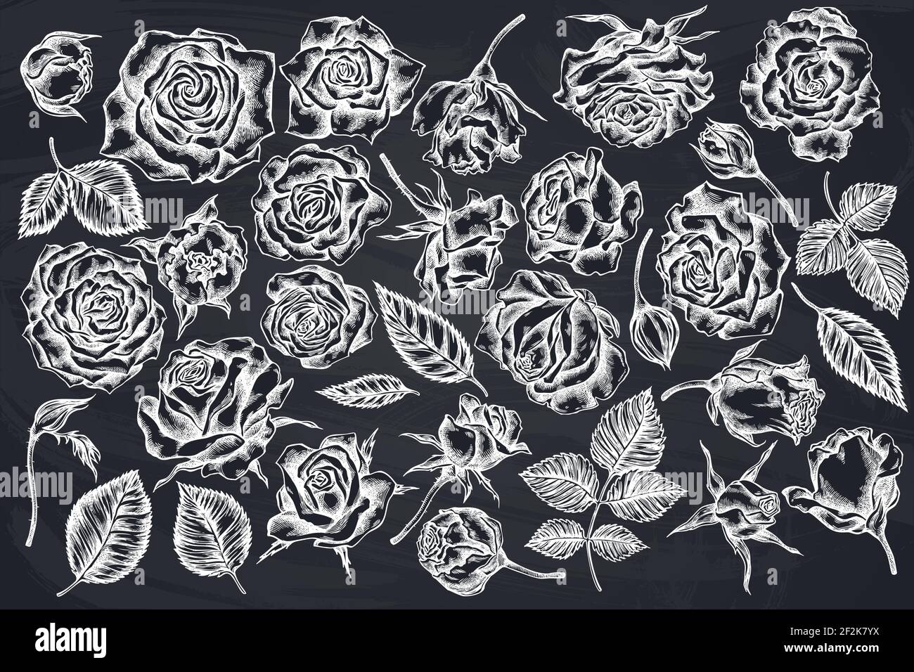 Vector set of hand drawn chalk roses Stock Vector Image & Art - Alamy