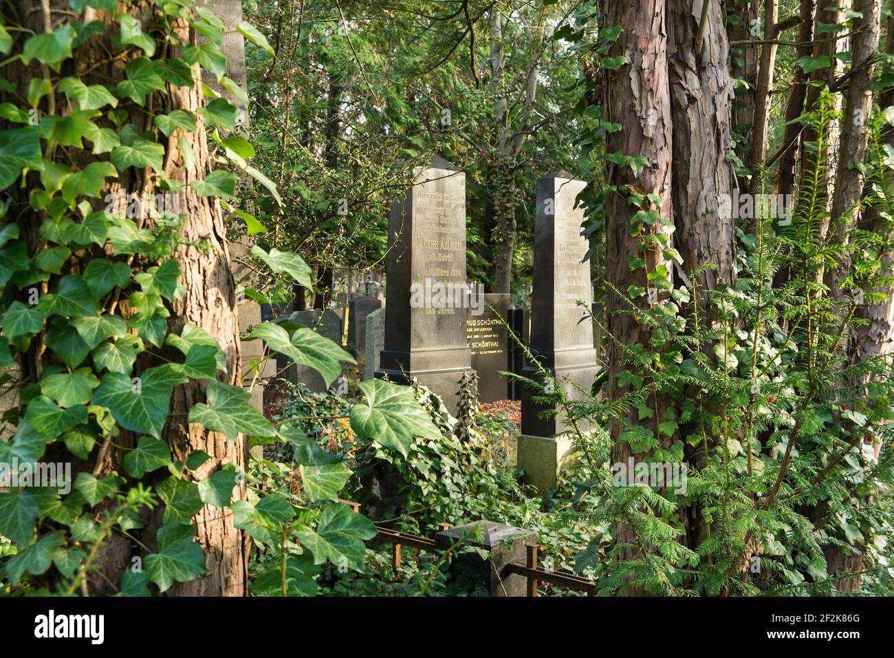 Berlin, Jewish cemetery Berlin Weissensee, largest preserved Jewish ...