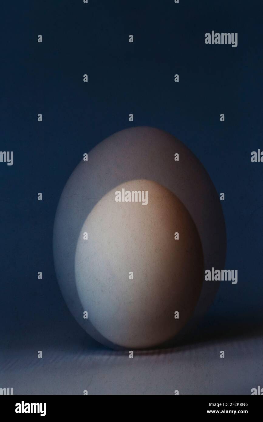 Multiple Exposure of a White Duck Egg on Dark Blue Background Stock ...