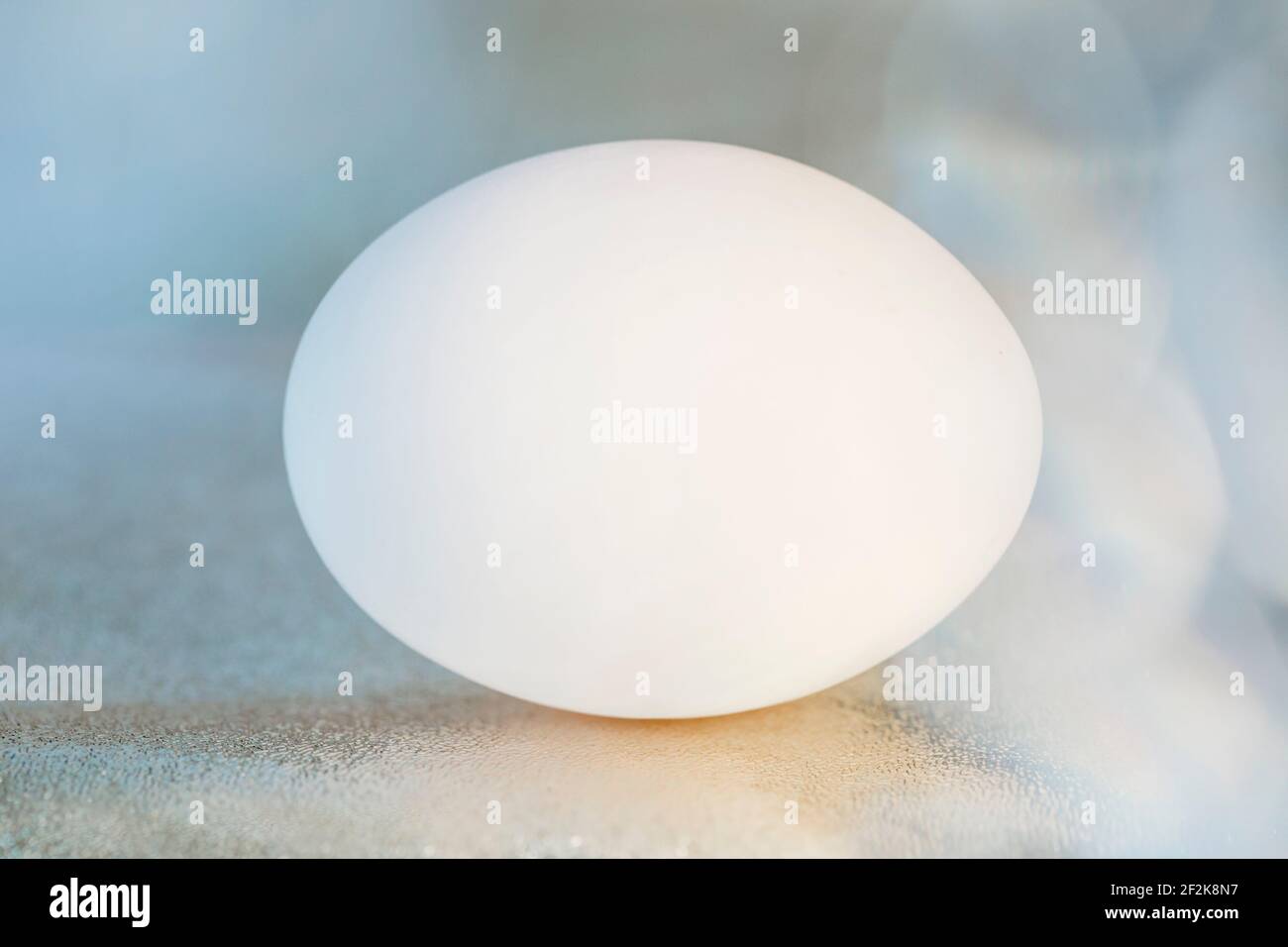 White duck egg on blue shiny background with light reflections Stock ...