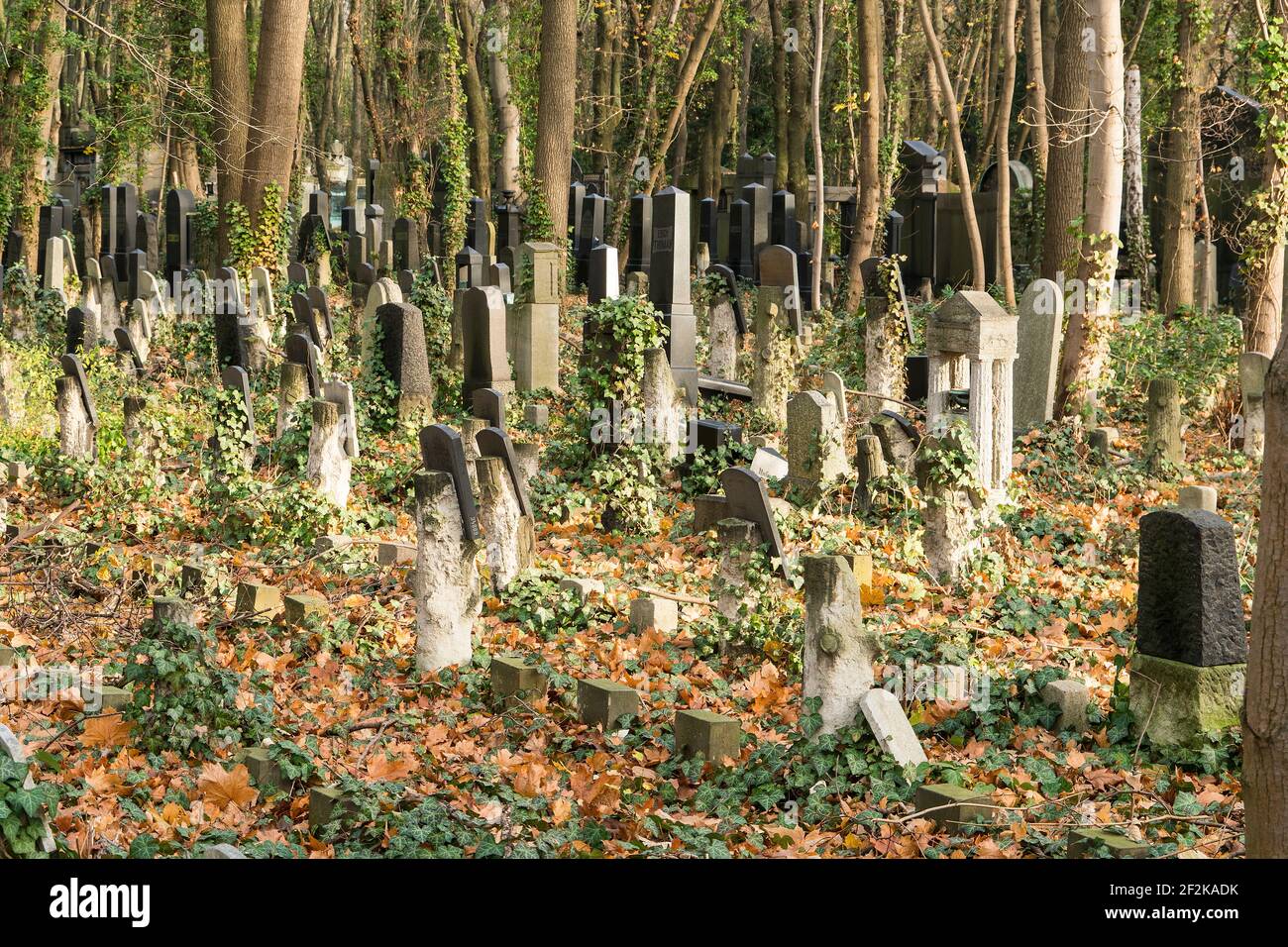 Berlin, Jewish cemetery Berlin Weissensee, largest preserved Jewish ...