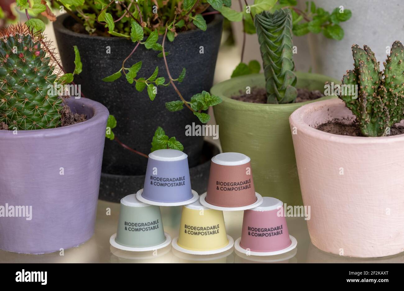 Colourful, sustainable eco friendly coffee capsules. The pods are ...