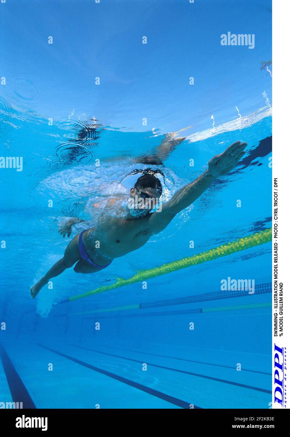SWIMMING - ILLUSTRATION MODEL RELEASED - PHOTO : CYRIL TRICOT / DPPI ...