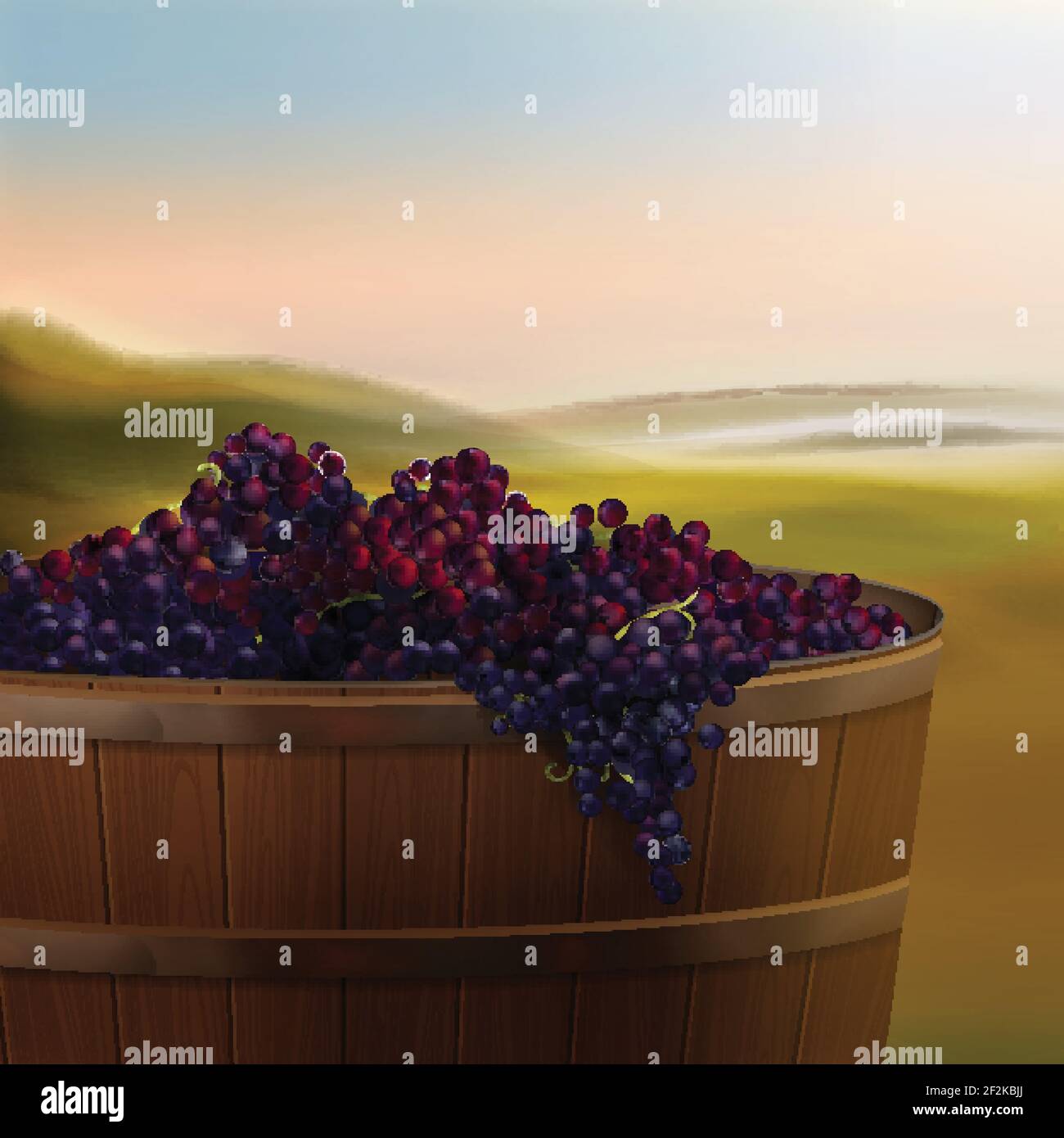 Vector wooden vat of red grapes for wine in valley isolated on ...