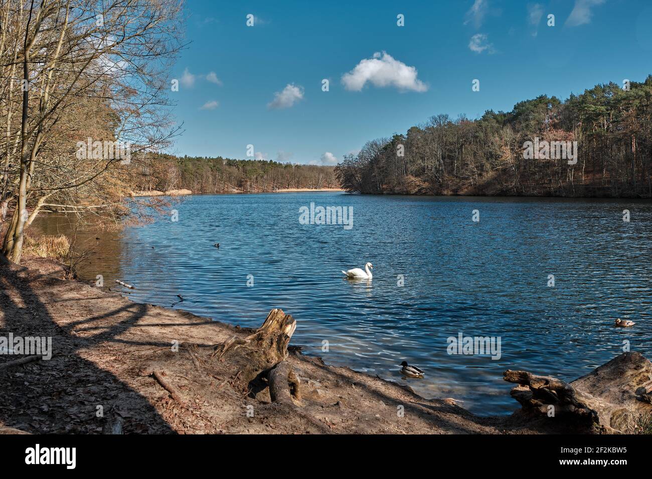 Krumme berlin hi-res stock photography and images - Alamy