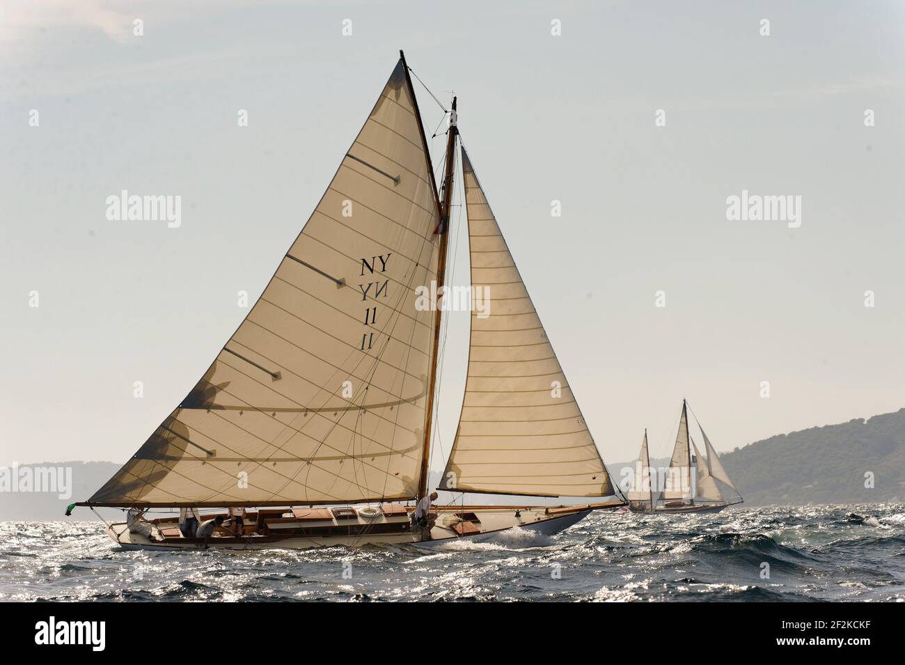 Auriole hi-res stock photography and images - Alamy