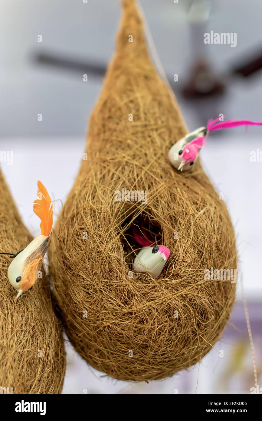 Indian traditional handmade bird with its nest and babies is displayed ...