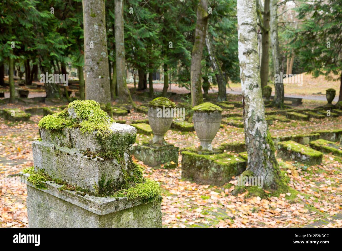 Berlin, Jewish cemetery Berlin Weissensee, urn field, grave slabs ...