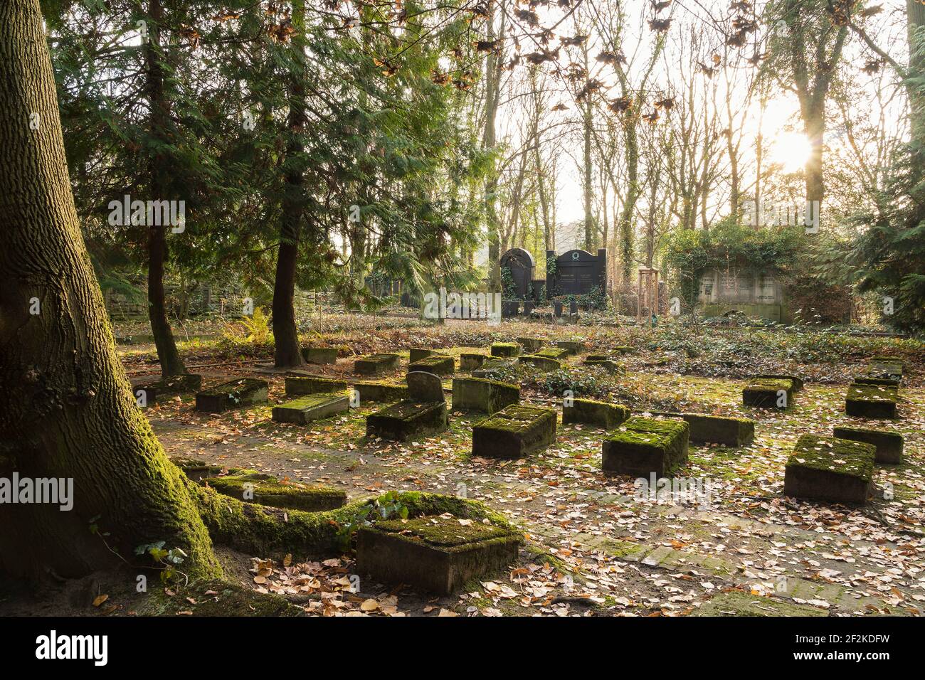 Berlin, Jewish cemetery Berlin Weissensee, urn field with mossy ...