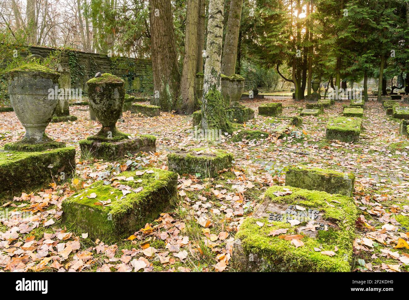 Berlin, Jewish cemetery Berlin Weissensee, urn field, grave slabs, moss ...