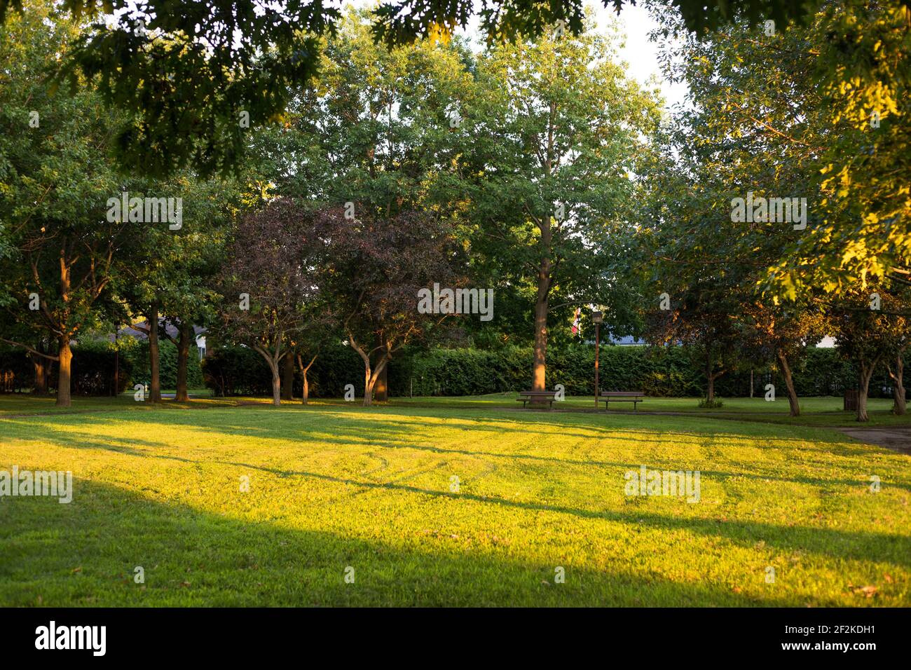Local public hi-res stock photography and images - Alamy
