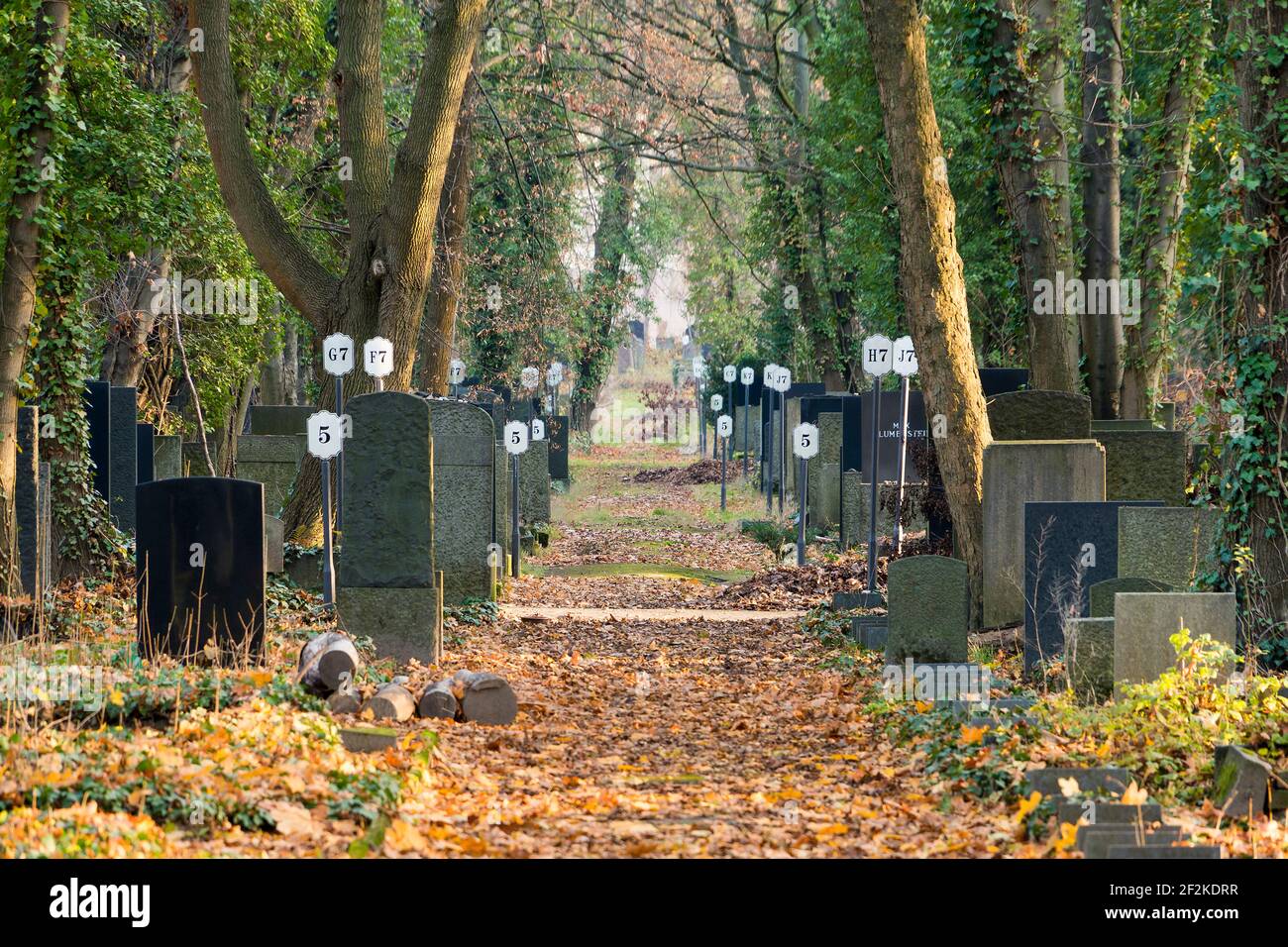 Berlin, Jewish cemetery Berlin Weissensee, avenue in the autumn light ...