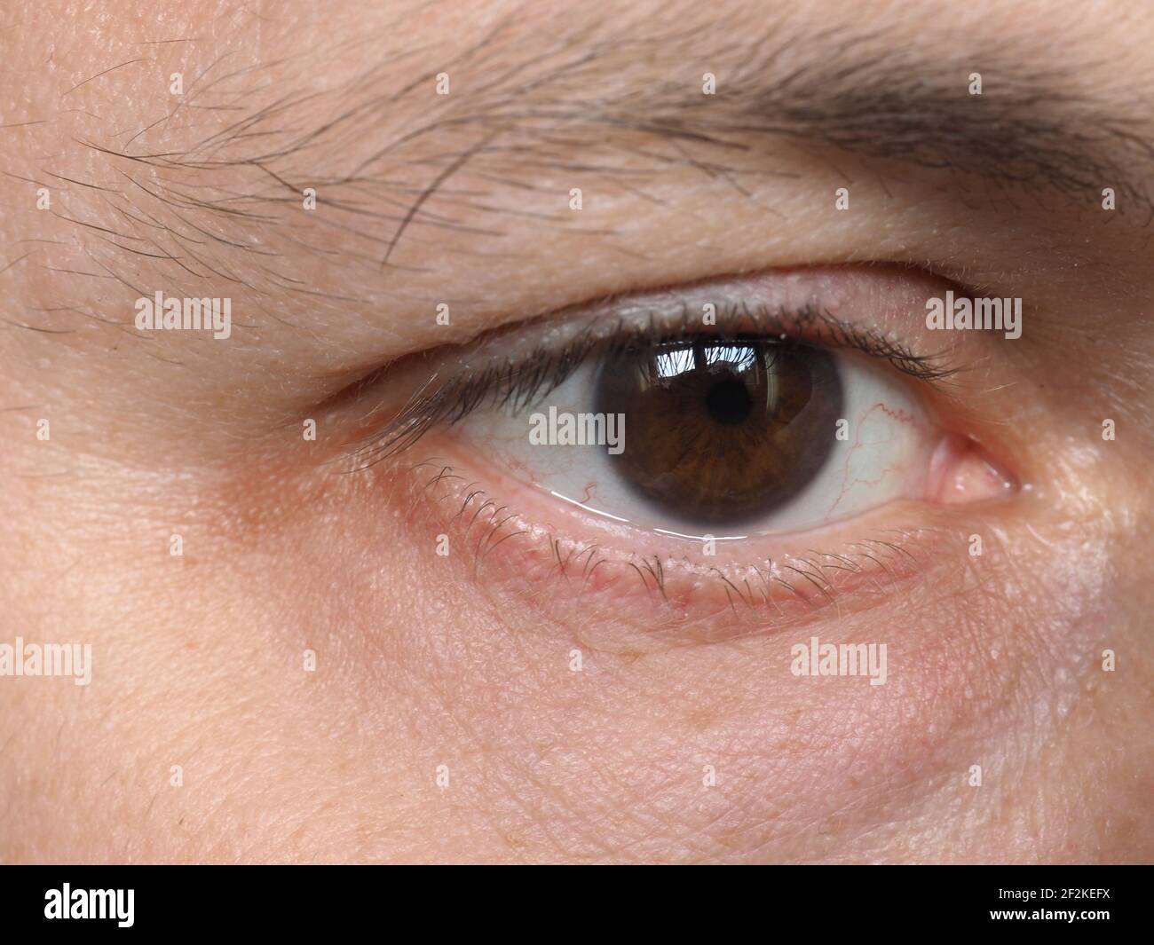 Detail of young adult human male eye Stock Photo - Alamy