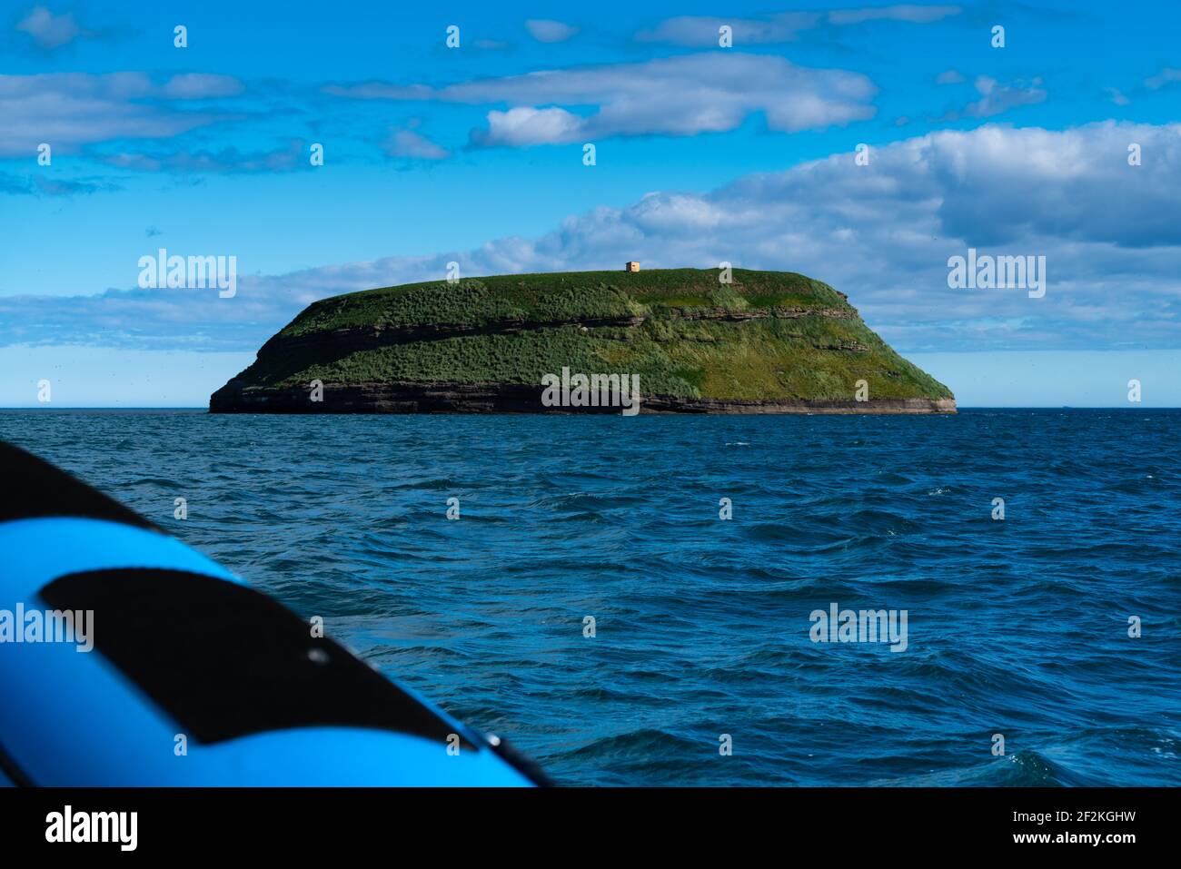 Puffin Island - Iceland Stock Photo - Alamy