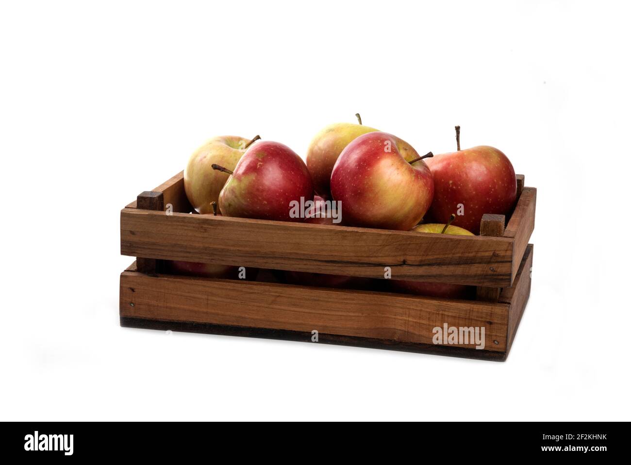 Box wood ripe red Cut Out Stock Images & Pictures - Alamy