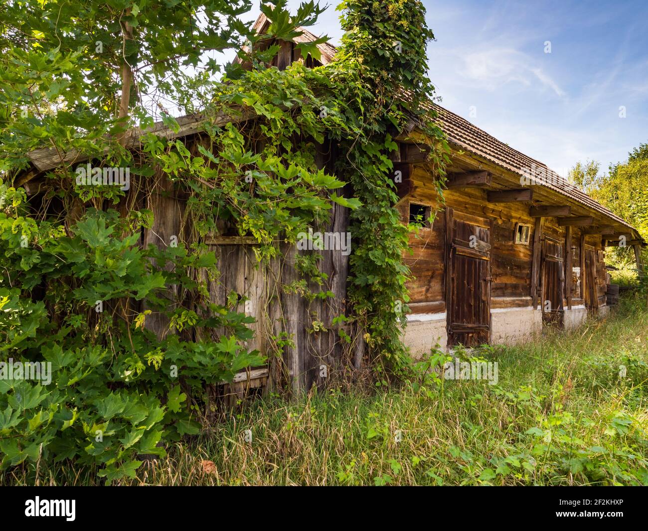 Old wooden log cabin. Podlasie. Podlachia. Poland, Europe. The region ...
