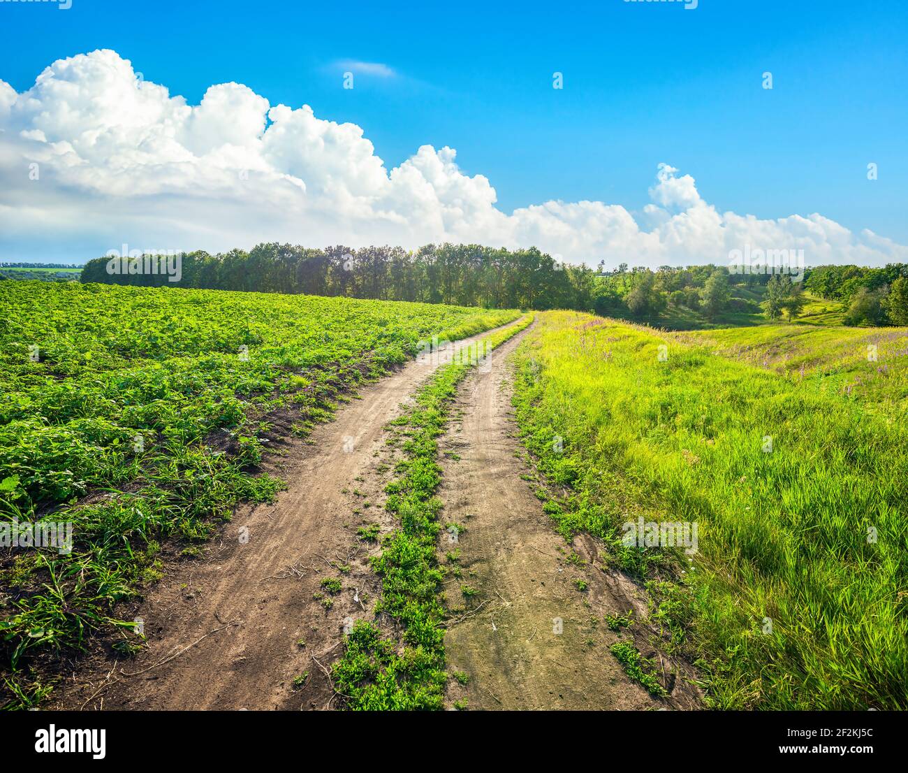 Colorful country road hi-res stock photography and images - Alamy