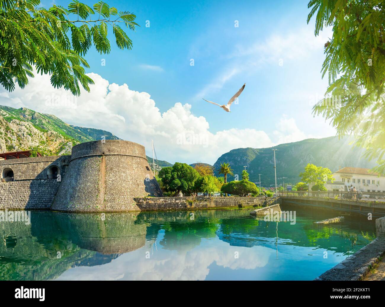 Cotor hi-res stock photography and images - Alamy