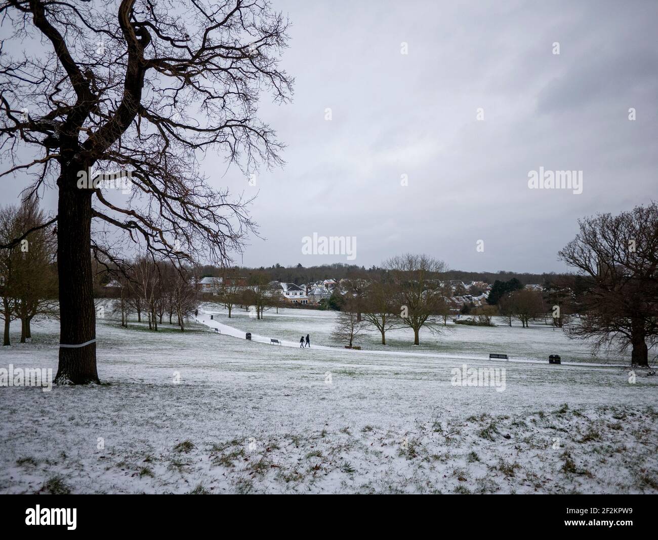 Highams Park London, the Highams Park in Highams Park, London during ...