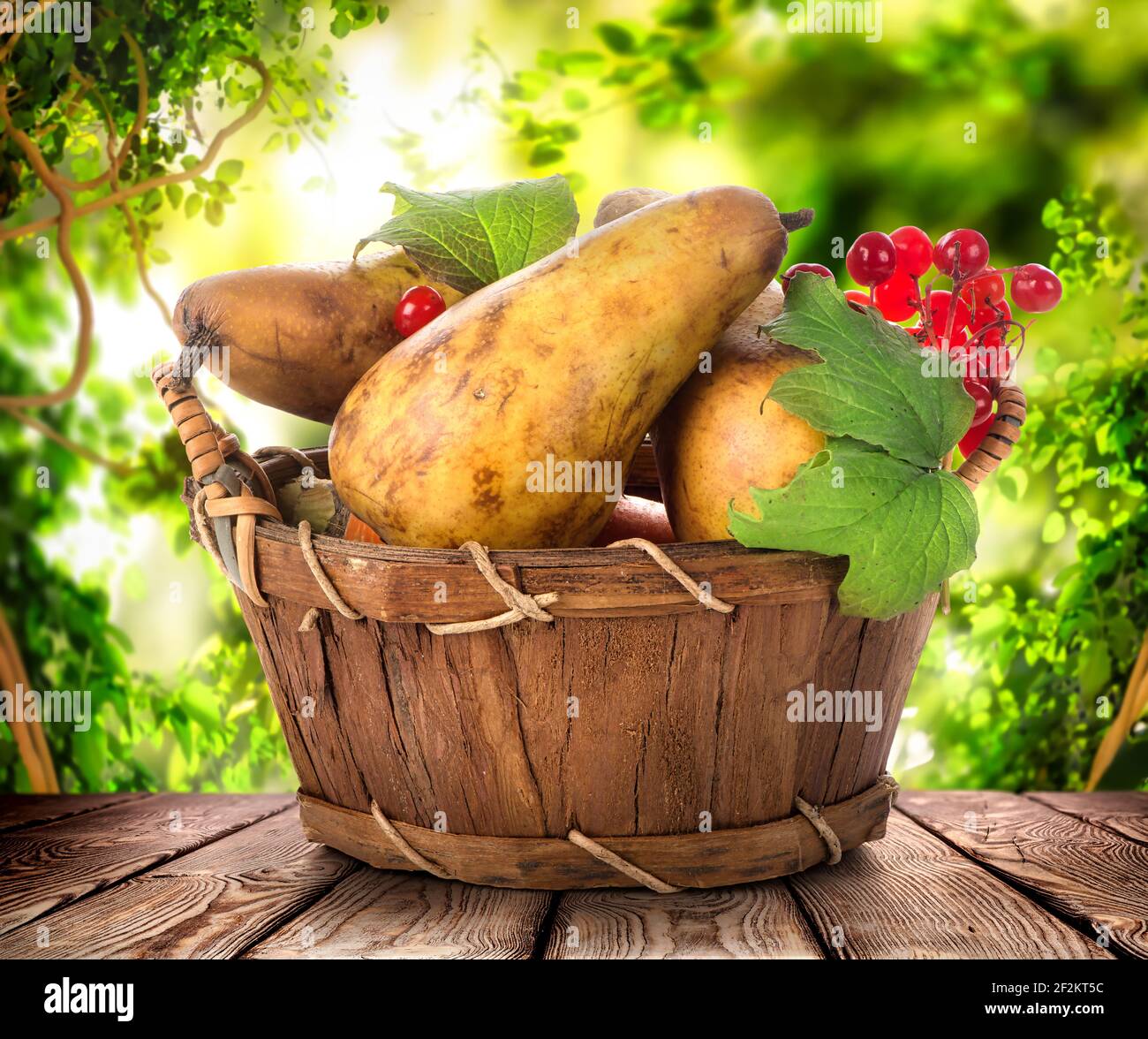 Crop in basket hi-res stock photography and images - Alamy