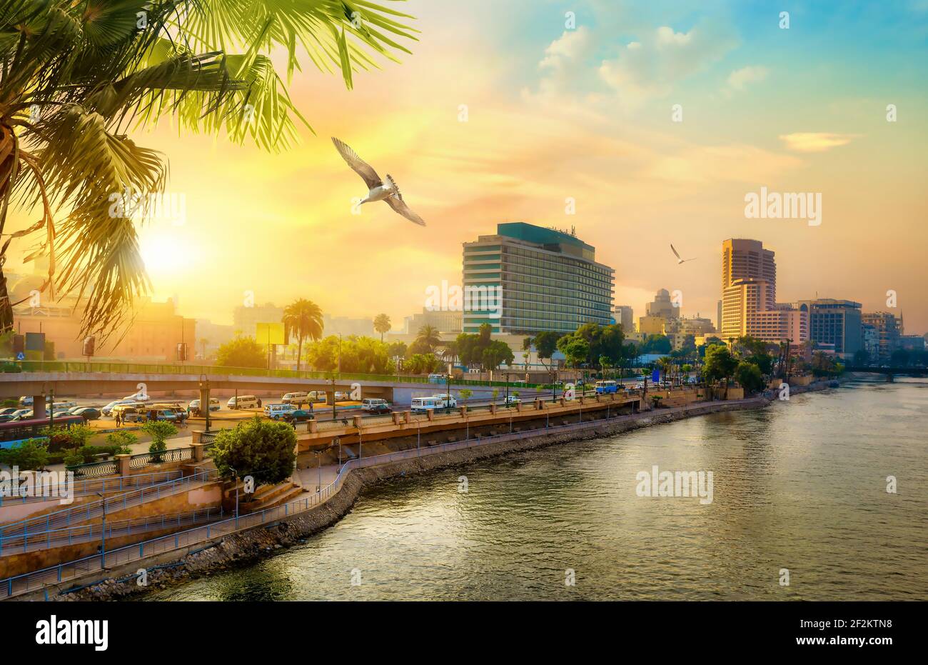 Modern cairo hi-res stock photography and images - Alamy