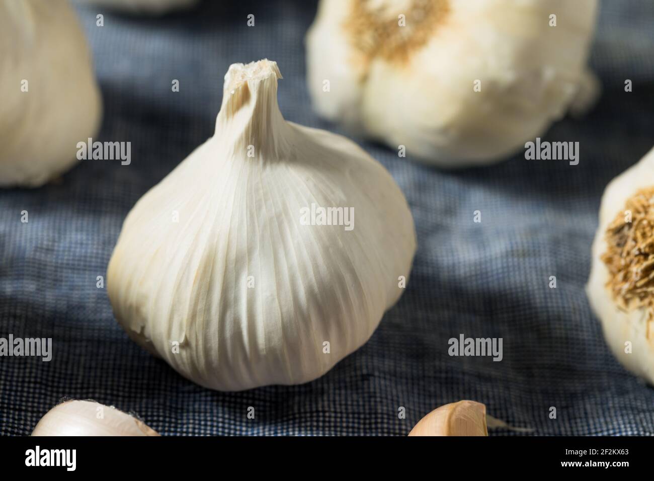 Raw Organic White Garlic Spice Ready to Cook With Stock Photo - Alamy