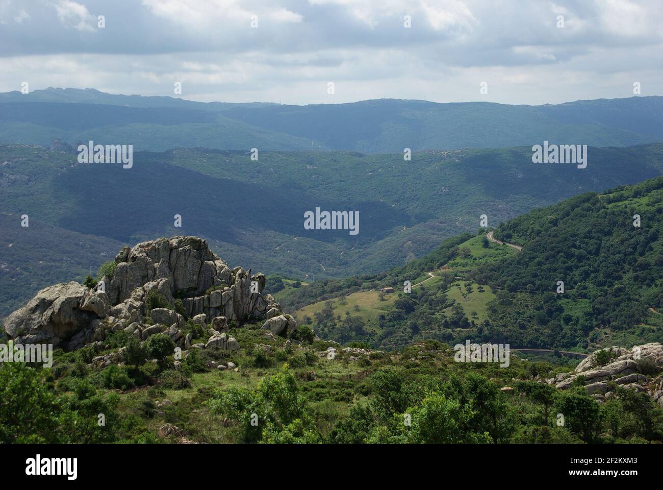 Green valley in Gallura region, Sardinia, Italy Stock Photo - Alamy