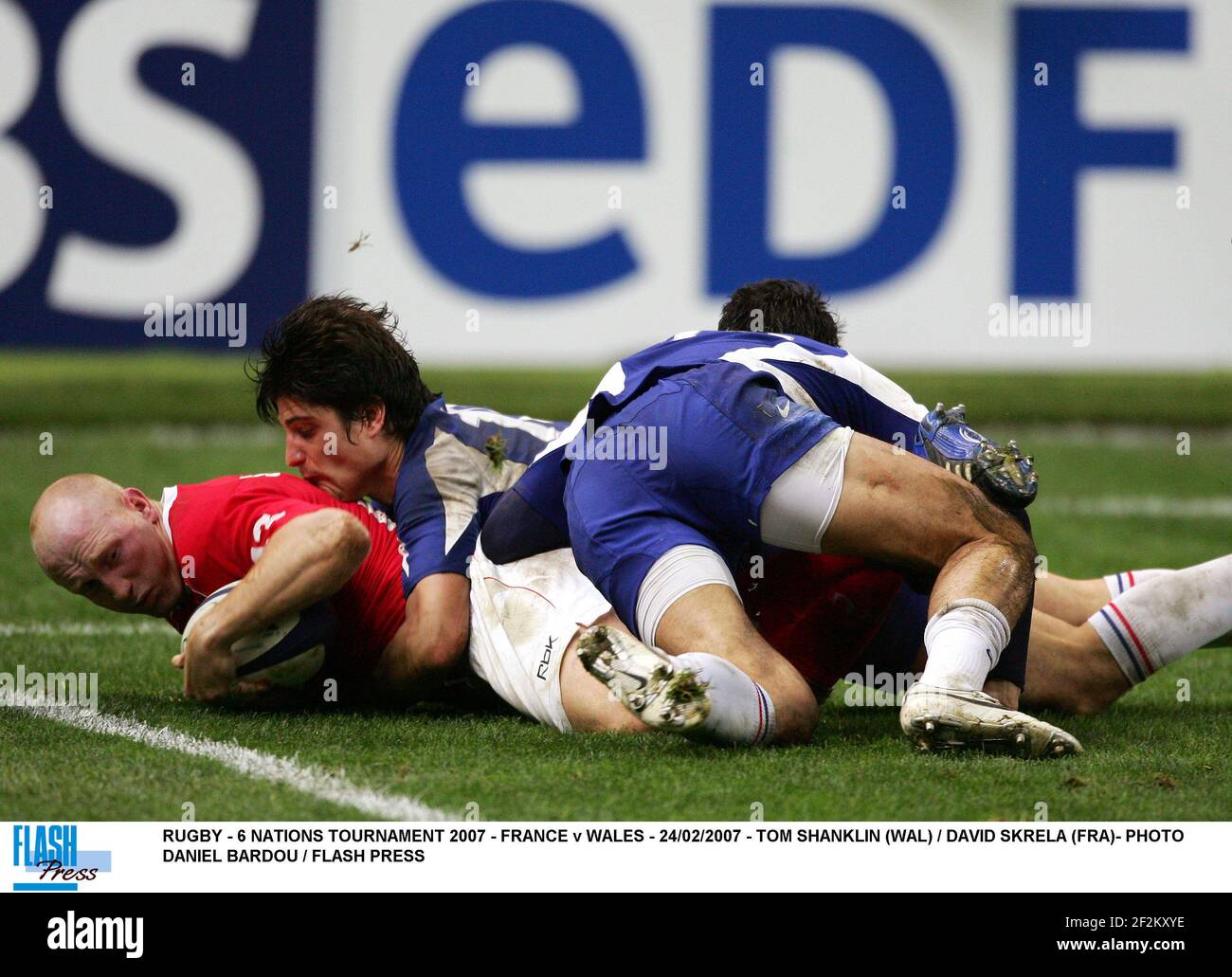 Tom david rugby wales hi-res stock photography and images - Alamy