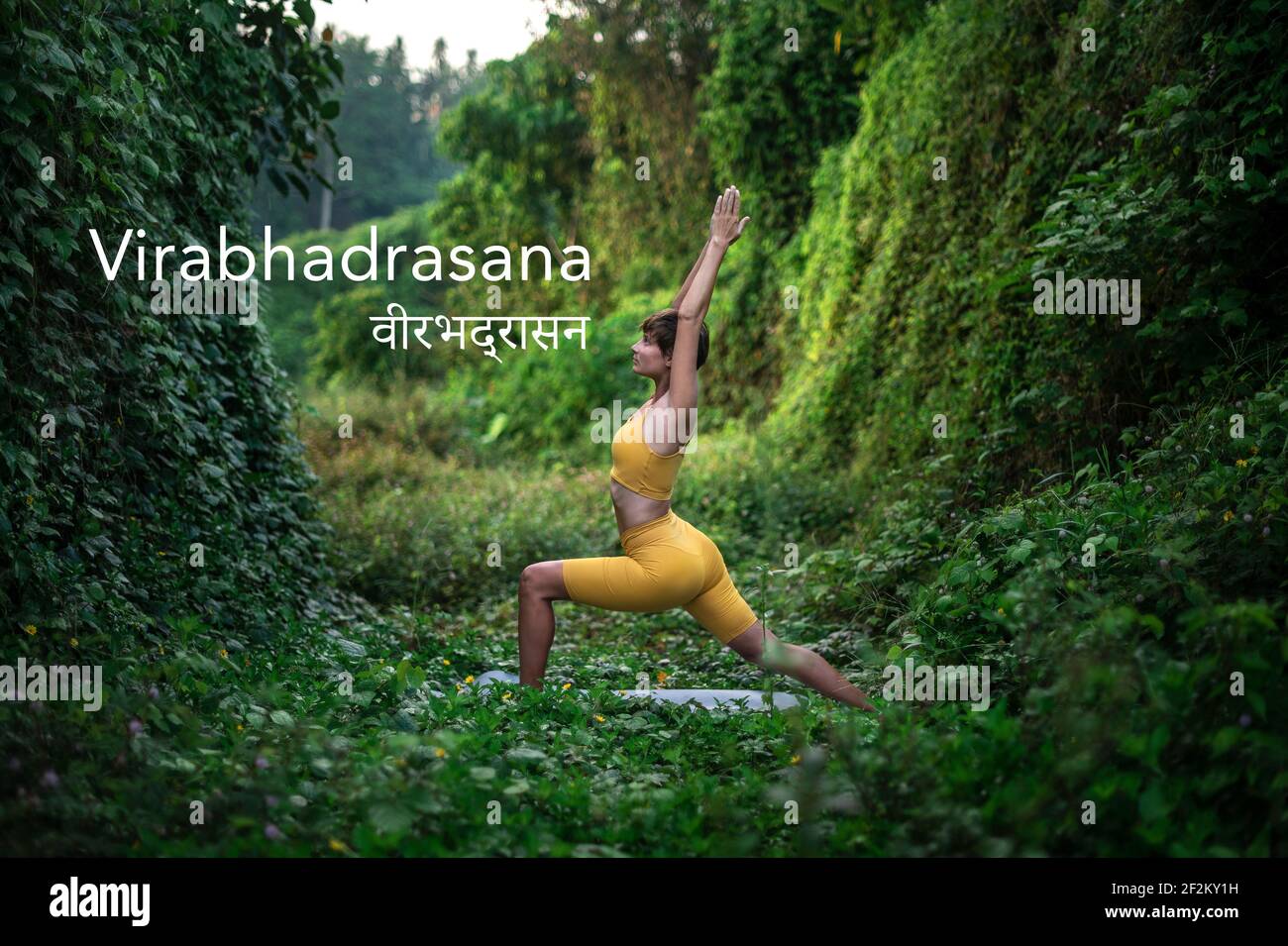 Yoga practice and meditation in nature. Woman practicing outdoor Stock ...