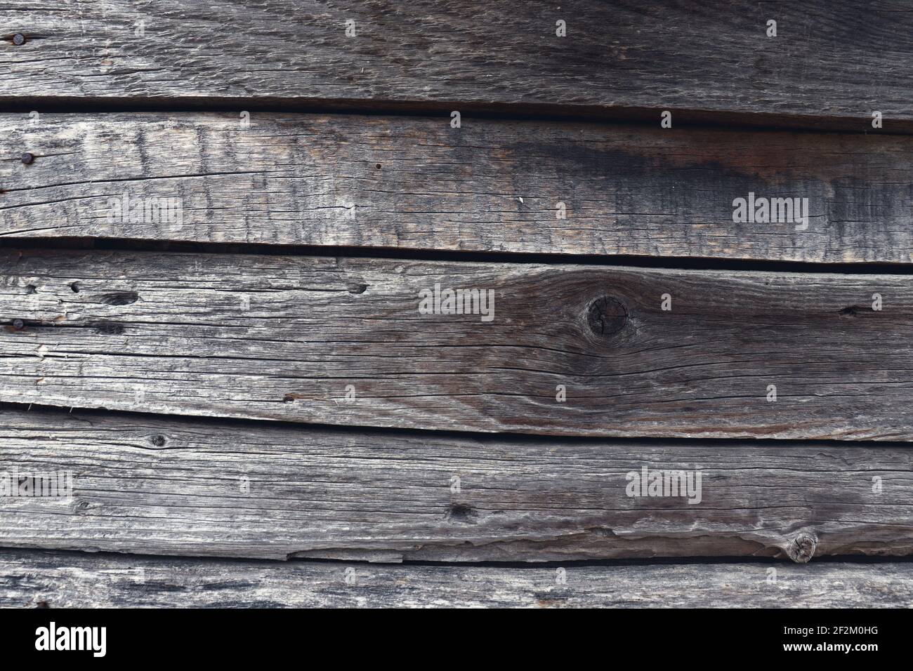 Abstract gray wooden texture. Natural wooden boards background Stock ...