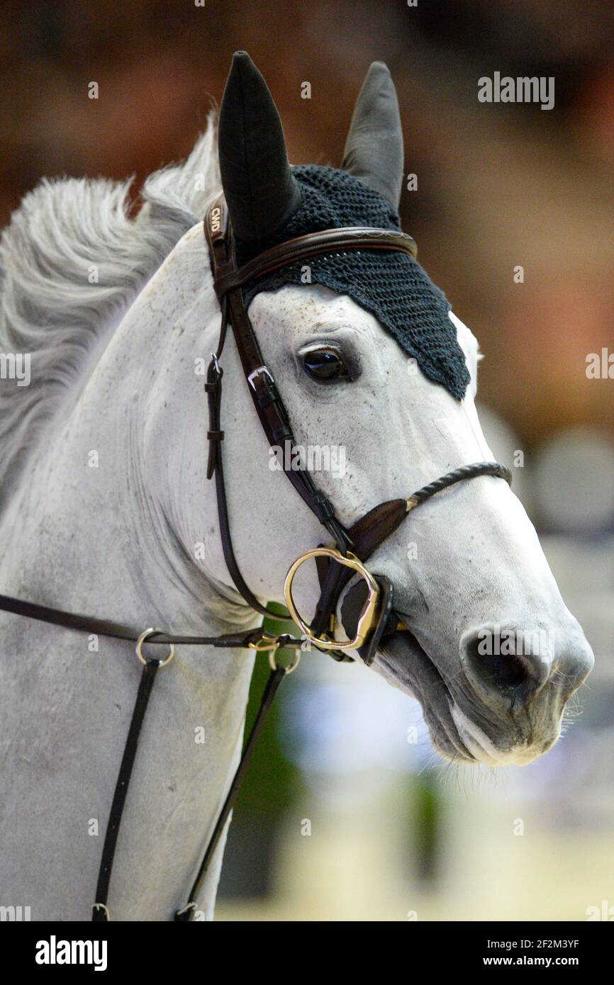 Molly malone bertram hi-res stock photography and images - Alamy