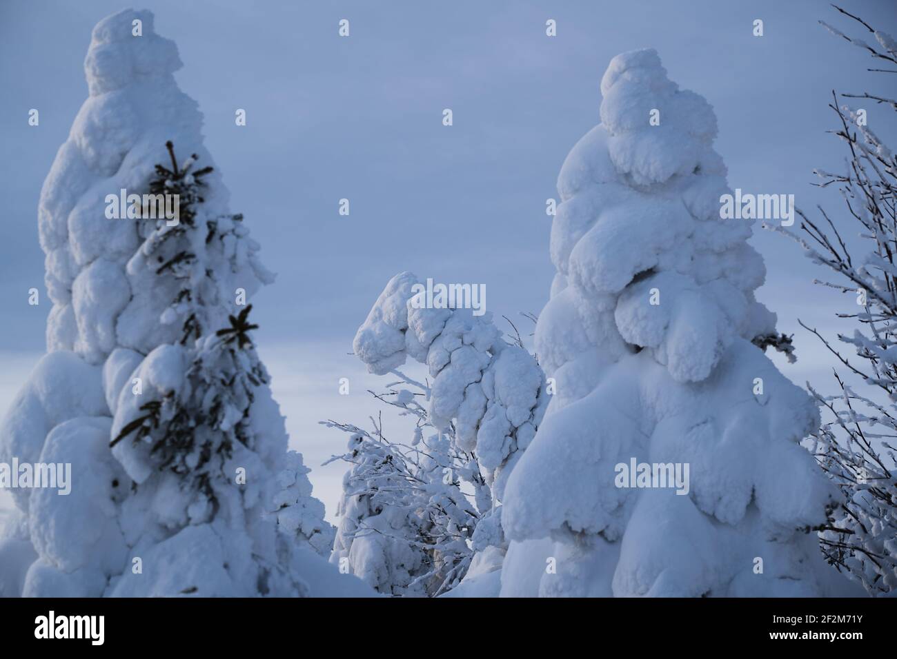 Snowy winter landscape at fichtelberg hi-res stock photography and ...