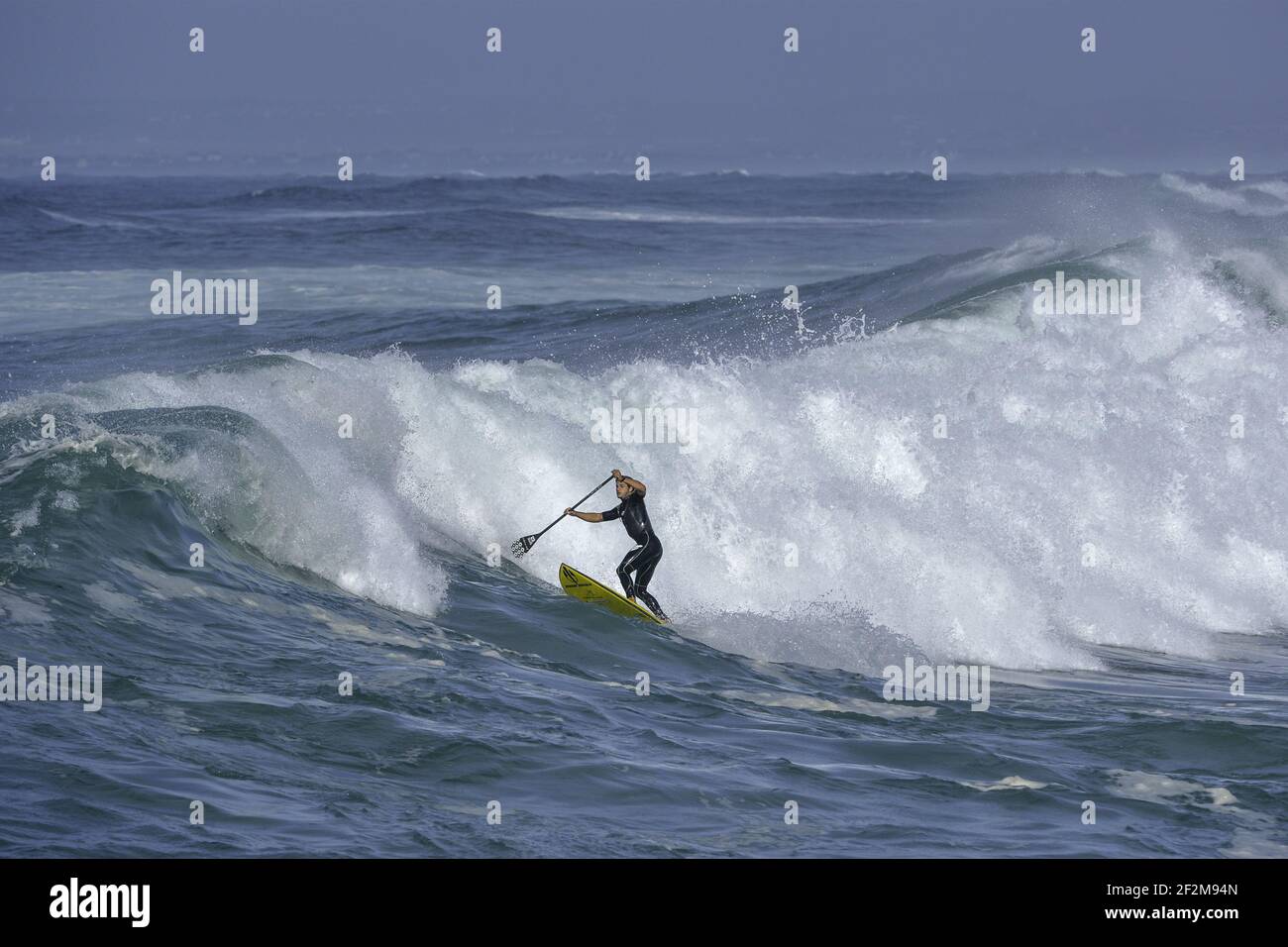 Stand-up paddle board, aka SUP, illustration in the big waves at La ...