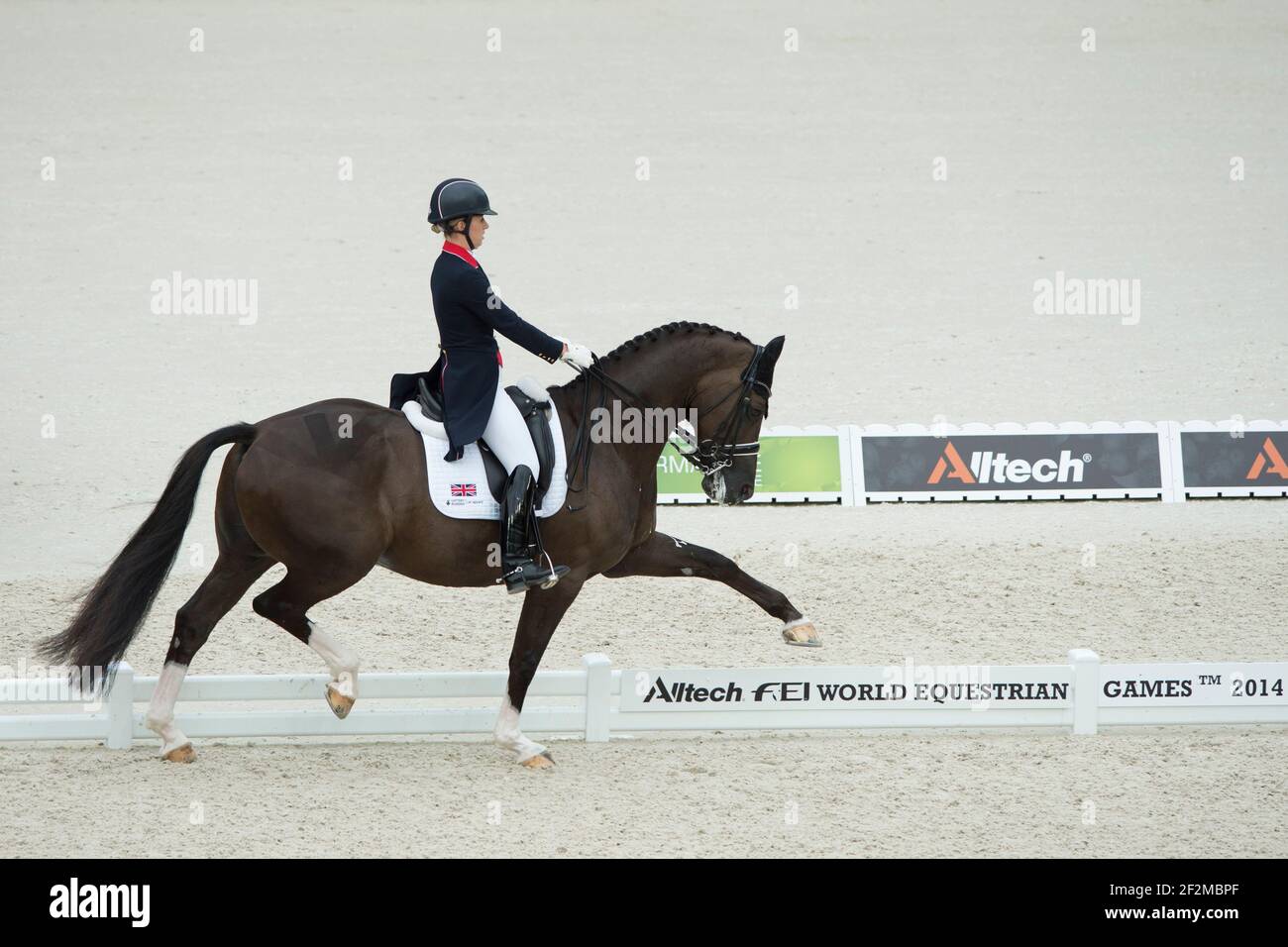 Charlotte DUJARDIN (GBR) riding on Valegro (world champion) during the ...