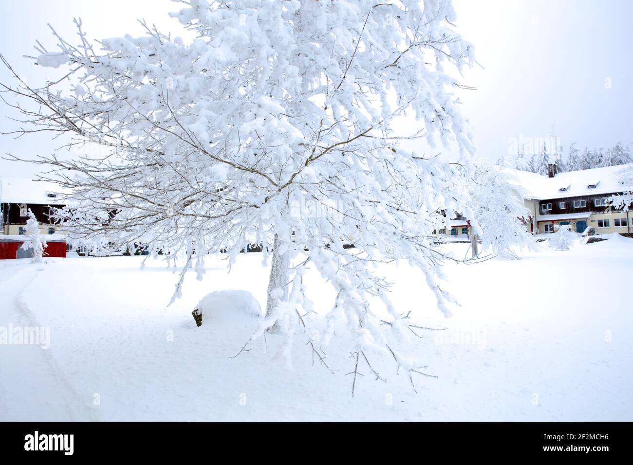 Groenhoff house, complex, architecture, winter magic on the Wasserkuppe ...